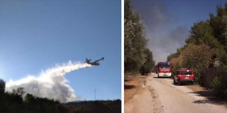 Lavocedimanduria.it - Manduria: Un altro incendio nelle marine di ... Lavocedimanduria.it - Manduria: Un altro incendio nelle marine di ...